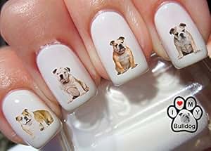 Amazon.com : 58 English Bulldog Nail Decals : Beauty