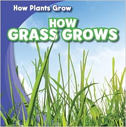 Watch Grass Grow (Watch Plants Grow!): Kristen Rajczak: 9781433948282 ...