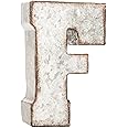 Amazon.com: CraftyCrocodile 7" Galvanized Metal 3D Wall Letter F Block ...