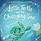 Little Turtle and the Changing Sea: A story of survival in our polluted ...