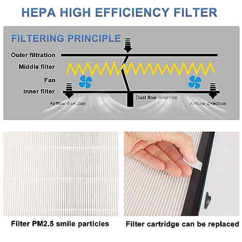 Laminar Flow Hood Filter Yzzwer - Vertical Laminar Flow Filtration For ...