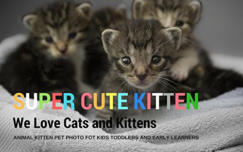 SUPER CUTE KITTEN WE LOVE CATS AND KITTENS : ANIMAL KITTEN PET PHOTO ...