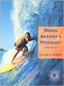 Amazon.com: Human Anat& Phys/Study Cd Main Lab Ml Natl Pkg ...