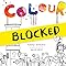 Amazon.com: Color Blocked (9781944822828): Ashley Sorenson, David W ...