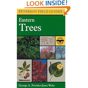 Amazon.com: A Field Guide to Eastern Trees: Eastern United States and ...