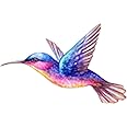 Amazon.com - Beautiful Vibrant Colored Hummingbird Art #1 Vinyl Decal ...