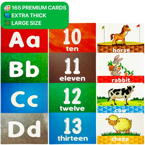 My First Big Flash Cards for Toddlers 1-2 Years - 165 Baby Flash Cards ...