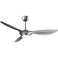 reiga 52 Inch Modern Smart WiFi Ceiling Fan with Light and Remote ...