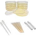Amazon.com: EZ BioResearch Bacteria Science Kit (I) : Pre-poured LB ...