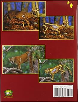 The Perfect Shot, North America: Shot Placement for North American Big ...