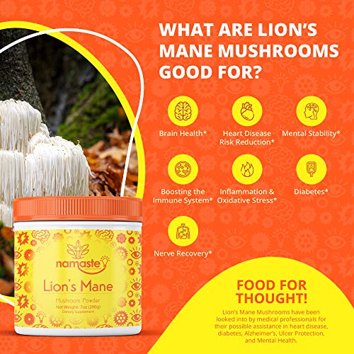 Namaste Supplements Lion's Mane Nootropic Mushroom Powder - Improves Immunity, Creativity ...