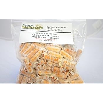 Amazon.com : 100 Lion's Mane Mushroom Spawn Plugs/Dowels to Inoculate ...