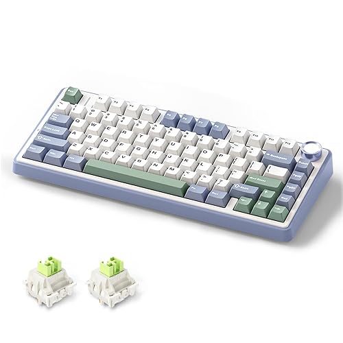 MOLGRIA x Aula F75 Gaming Keyboard, Triple Mode Connected 75% Light ...