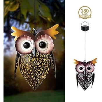 Decorative LED Motion Sensor Hooting Owl Light - - Amazon.com