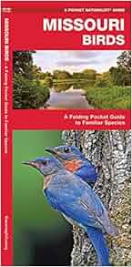 Missouri Birds: A Folding Pocket Guide to Familiar Species (Wildlife ...