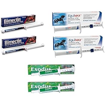Amazon.com : Bimectin Ivermectin Paste Horse Wormer (1.87 Ivermectin) - 6 DOSES, Model:, Home ...