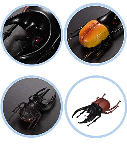 5.5 inch Fake Beetle Simulated Insect Model Realistic Plastic Beetle ...
