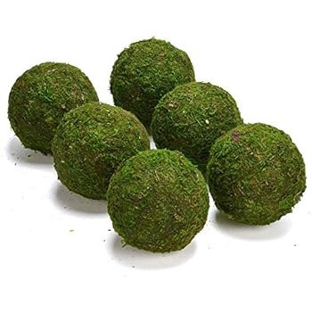 Amazon.com: Byher Decorative Ball Natural Green Moss Handmade (3.5"-Set ...