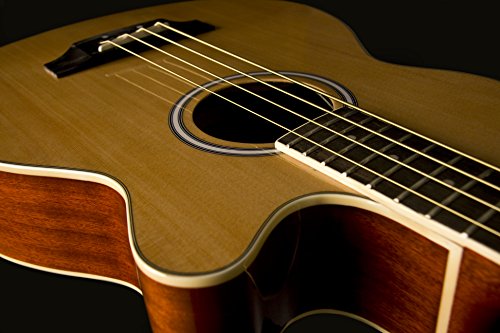 Washburn AB5K-A 5-String Acoustic Guitar on Galleon Philippines