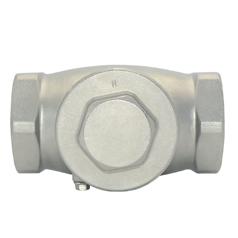 Mua Stainless Steel SS316 NPT 2" Swing Check Valve WOG 200 PSI PN16 ...