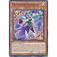 Amazon.com: Yu-Gi-Oh! - Trickstar Mandrake - MP19-EN005 - Common - 1st Edition - 2019 Gold ...