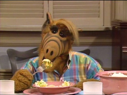 Watch Alf Season 4 | Prime Video