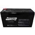 Amazon.com: Power Patrol 12V 8AH SLA Replacement for Power Patrol ...