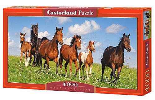 Panoramic Jigsaw Puzzles | Challenging Beautiful Panoramic Puzzles
