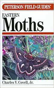 A Field Guide to Moths Eastern North America (Peterson Field Guide ...