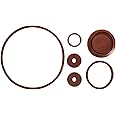 Amazon.com : Chapin International 6-8180 Piston Pump Repair Kit for ...