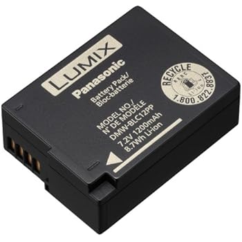 Amazon.com : Panasonic Lumix DMC-FZ300 Digital Camera Battery Lithium ...