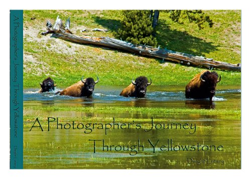 A Photographer's Journey Through Yellowstone: Dwight Lutsey ...