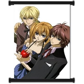 Amazon.com: DarkStalkers Vampire Savior Felicia Fabric Wall Scroll ...