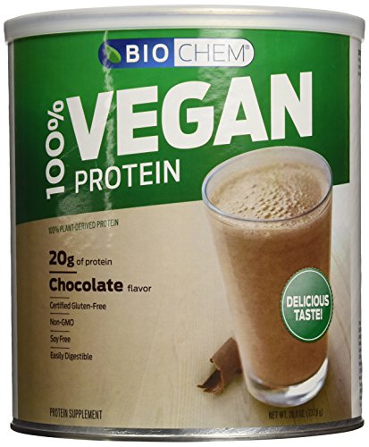 8 Best Tasting Vegan Chocolate Protein Powders