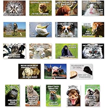 Amazon.com : FUNNY ANIMALS postcard set of 20 postcards. Funny animal ...