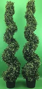 Amazon.com - Arcadia Silk Plantation 2 Pre-potted 4 Feet 2 Inches ...