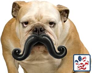 junior Humunga Stache dog toy : Amazon.ca: Pet Supplies