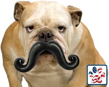 junior Humunga Stache dog toy: Amazon.ca: Toys & Games