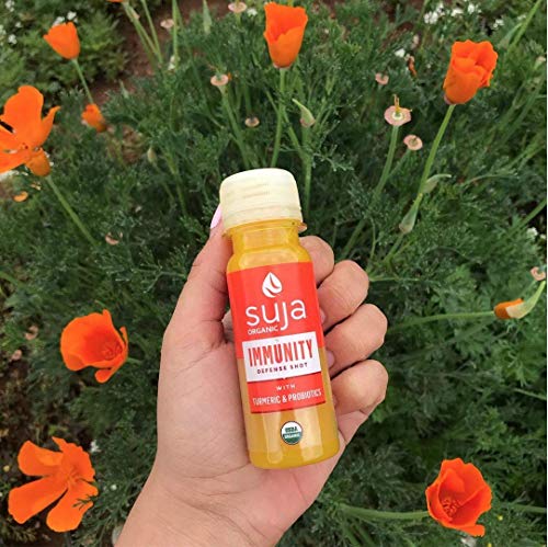 Suja Organic Cold-Pressed Immunity Defense Shot with Turmeric and ...