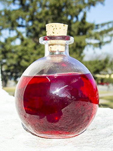 Aquatic Arts Red Potion Bottle (Health Potion). Video Game And Fantasy ...