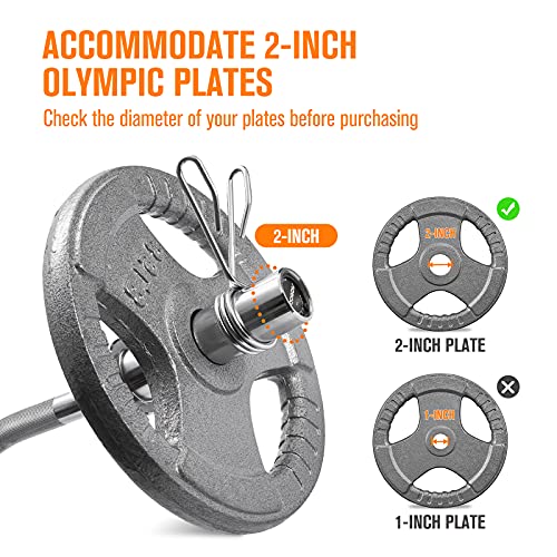 VIGBODY Curl Bar Weight Lifting Bar, EZ Curl Bar with 2 Collars-Workout ...