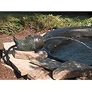 Amazon.com: Algreen Pond Fish Spitter with Pump and Tubing: Garden ...