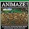 Animaze! a Collection of Amazing Nature Mazes: Madgwick, Wendy ...
