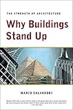 Why Buildings Fall Down: How Structures Fail: Matthys Levy, Mario ...