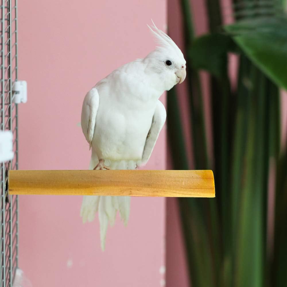 YANGWX 5Pcs Parrot Perches, Bird Cage Perches Stand, Paw Grinding Toy ...