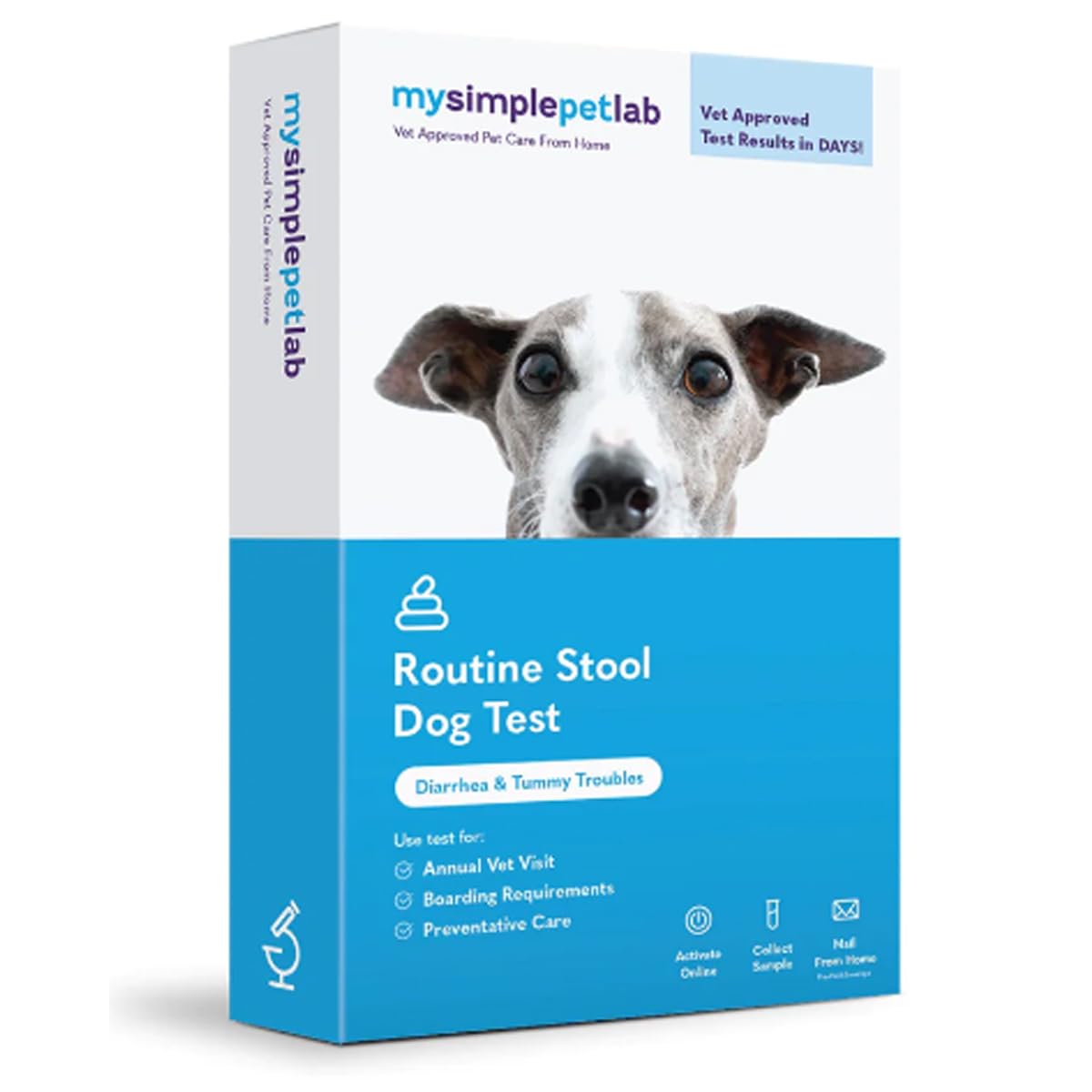 Mua MySimplePetLab Routine Dog Stool Test Kit | Fast and Accurate Worms ...