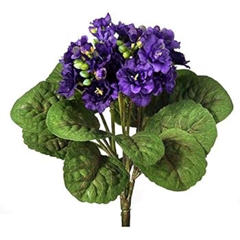 Amazon.com: Factory Direct Craft Purple African Violet Artificial Silk ...