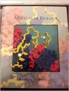 Molecular Biology (1999 First Edition): Weaver, Robert F.: Amazon.com ...