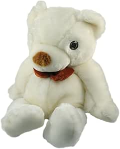 Amazon.com : SVAT Wireless Camera Hidden in a Teddy Bear with Receiver ...