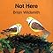 Not Here (Cat On The Mat Books): Amazon.co.uk: Wildsmith, Brian: Books